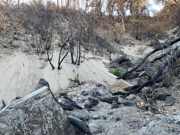 Soil erosion, the silent risk between fires and floods - Kisters